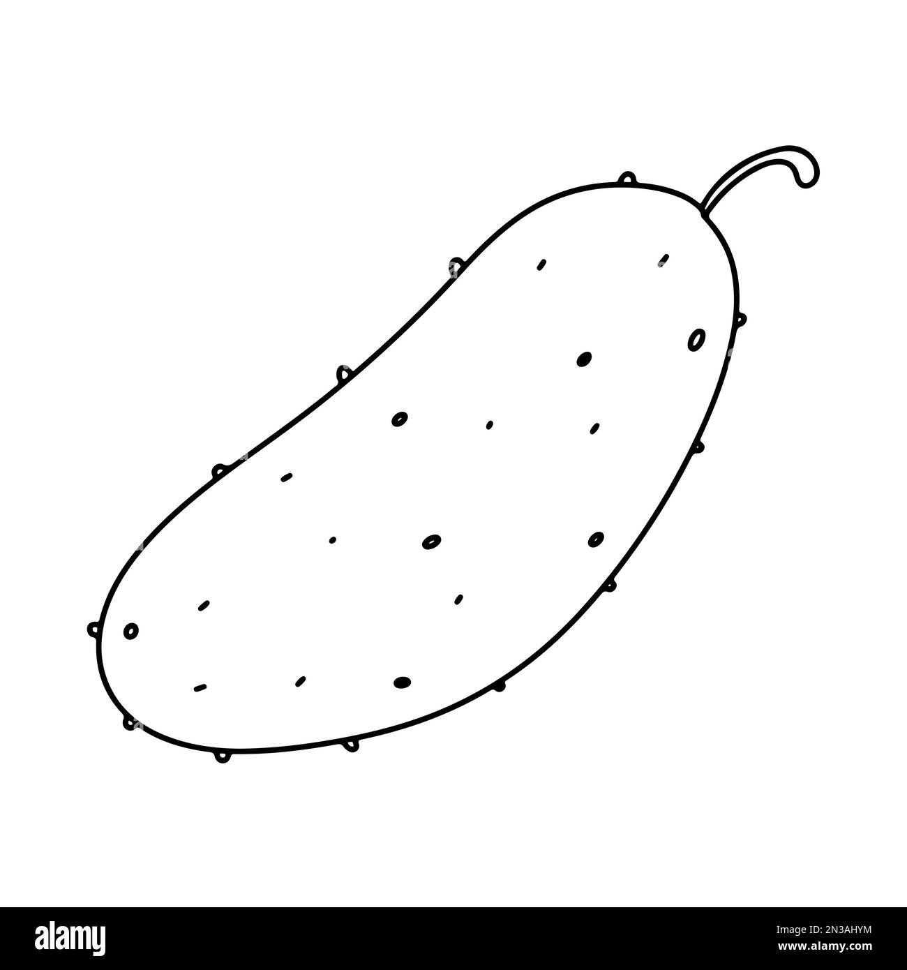 Cucumber in hand drawn doodle style. Vector illustration isolated on ...