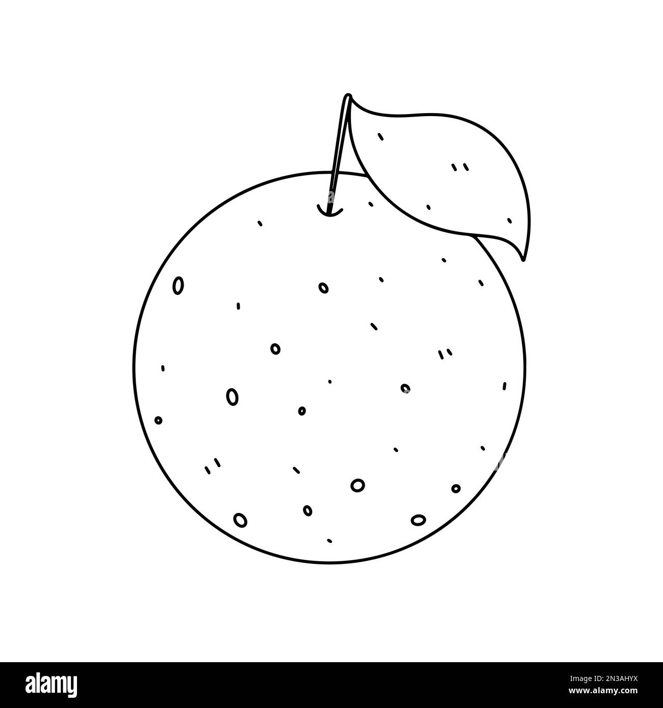 Orange in hand drawn doodle style. Vector illustration isolated on ...