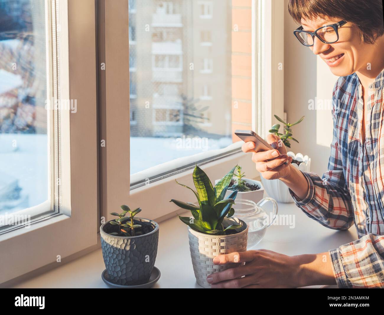 Woman takes pictures of succulent plants with smartphone. Flower pots on window sill ...