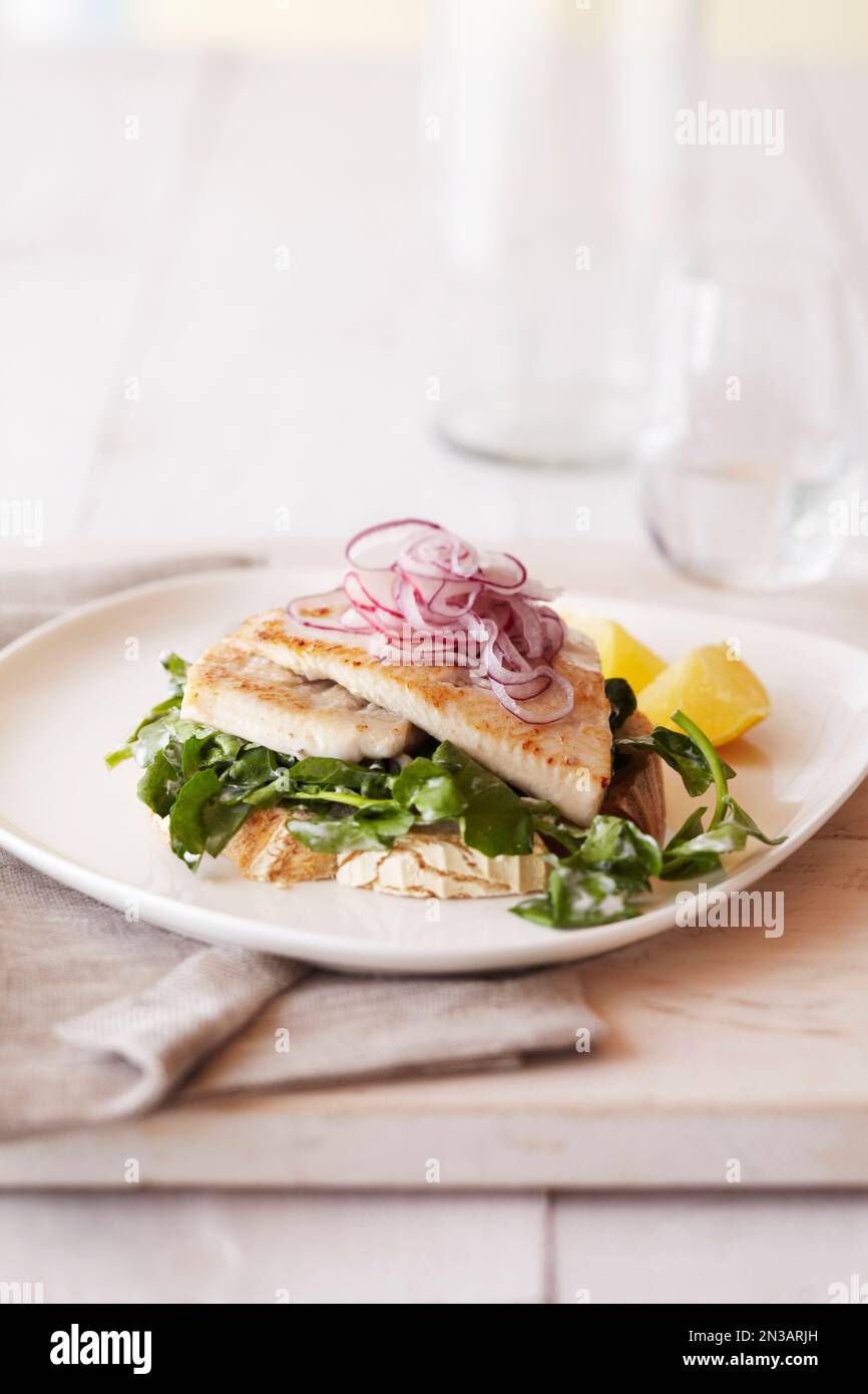 Open faced sandwich with trout topped with pickled red onion Stock ...