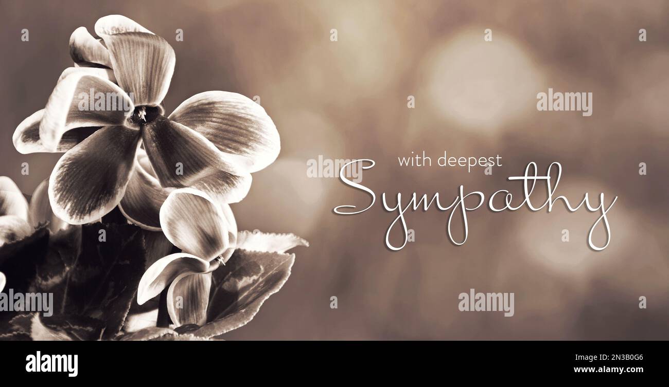 Sympathy card with cyclamen flowers Stock Photo - Alamy