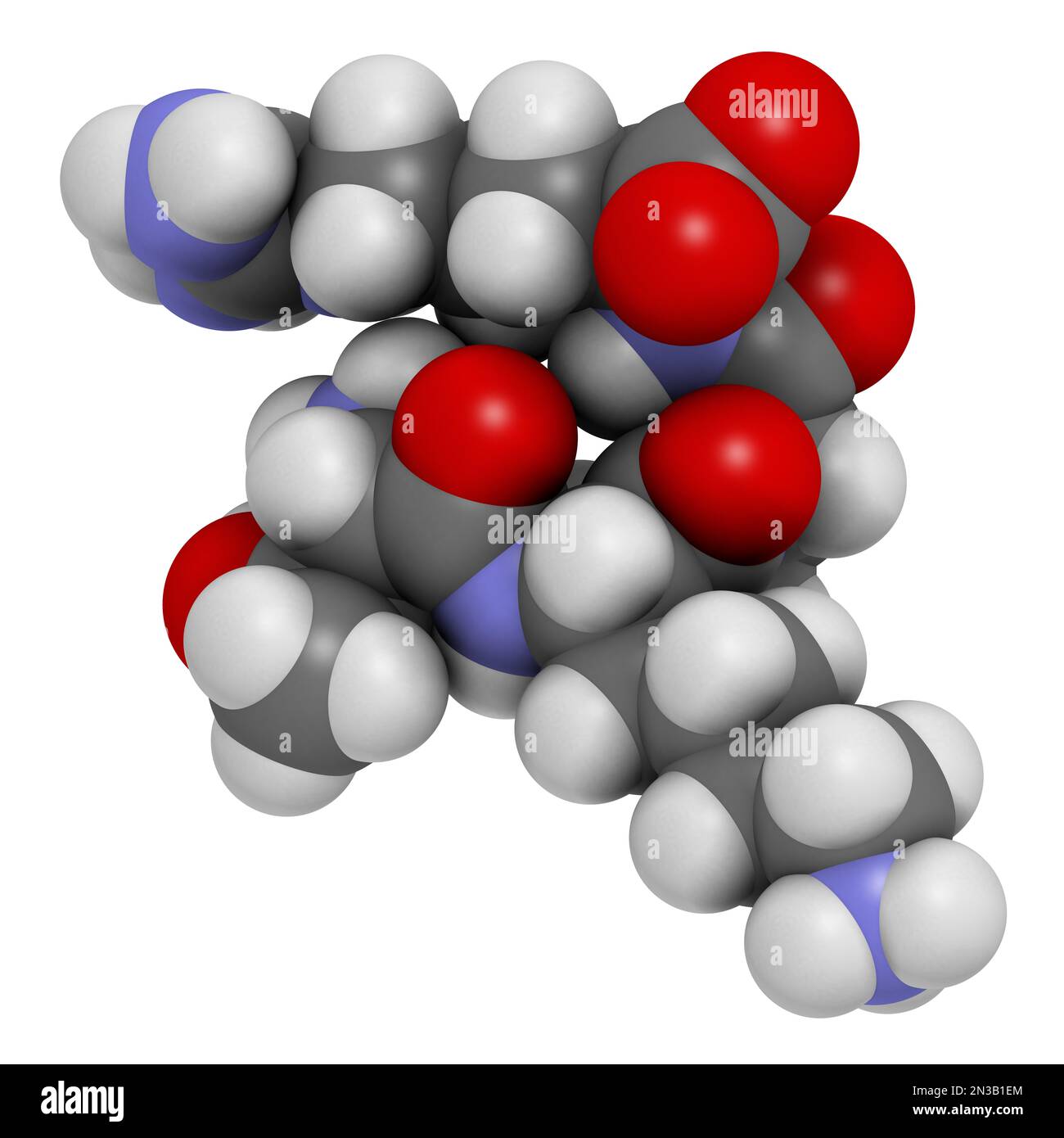 Tuftsin tetrapeptide molecule. 3D rendering. Atoms are represented as spheres with conventional ...