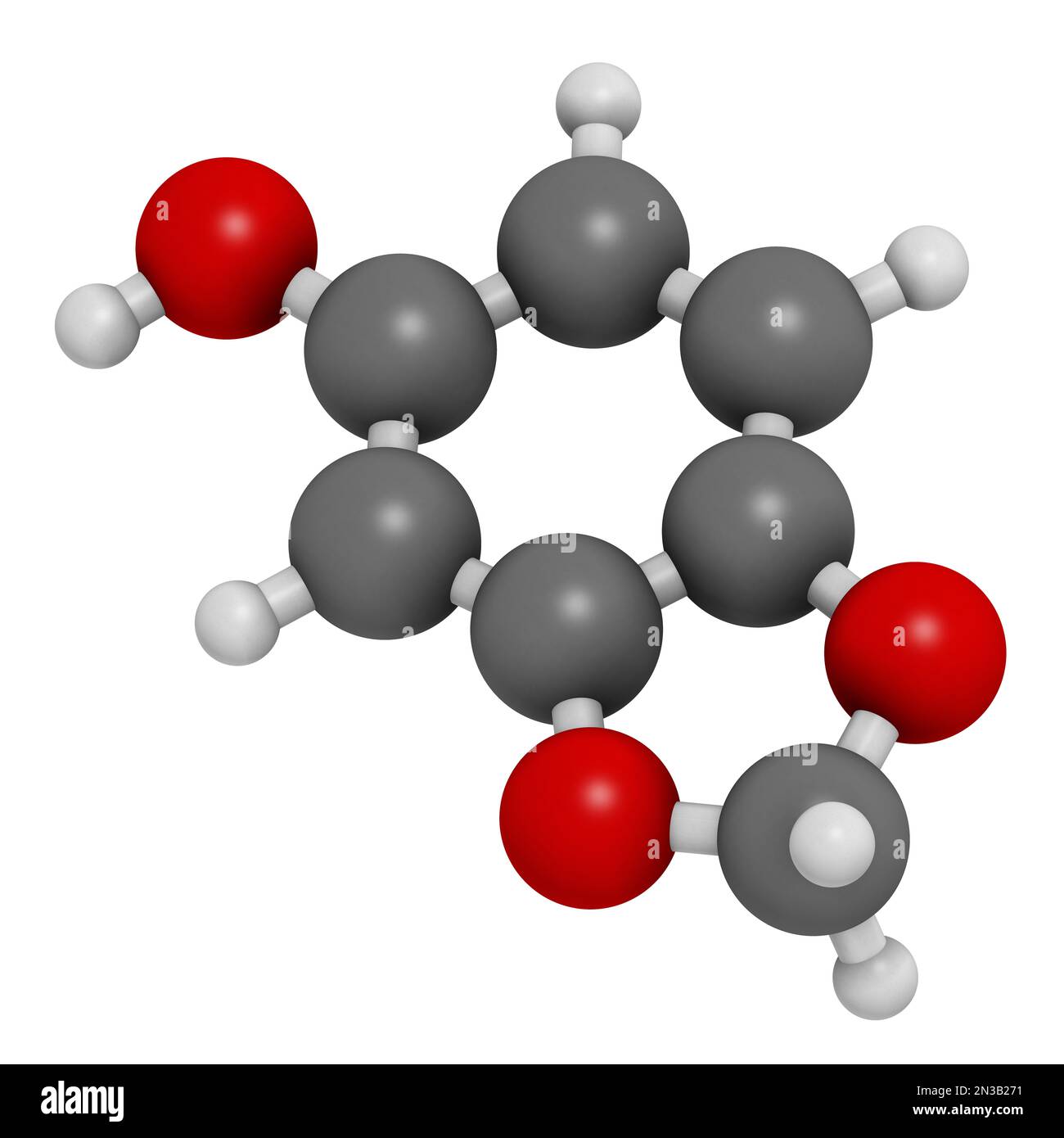 Sesamol herbal molecule. Present in sesame oil. 3D rendering. Atoms are ...