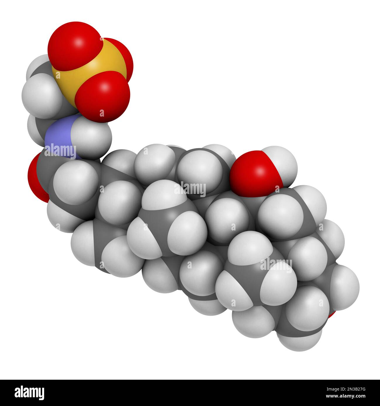 Taurursodiol hi-res stock photography and images - Alamy