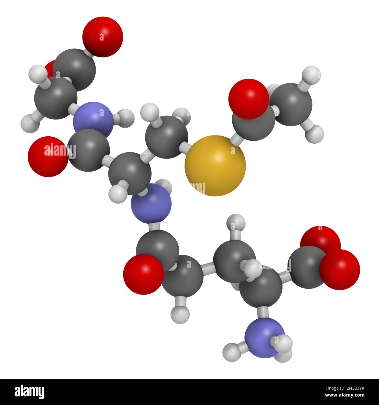 S-Acetyl L-Glutathione food supplement molecule. 3D rendering. Atoms ...