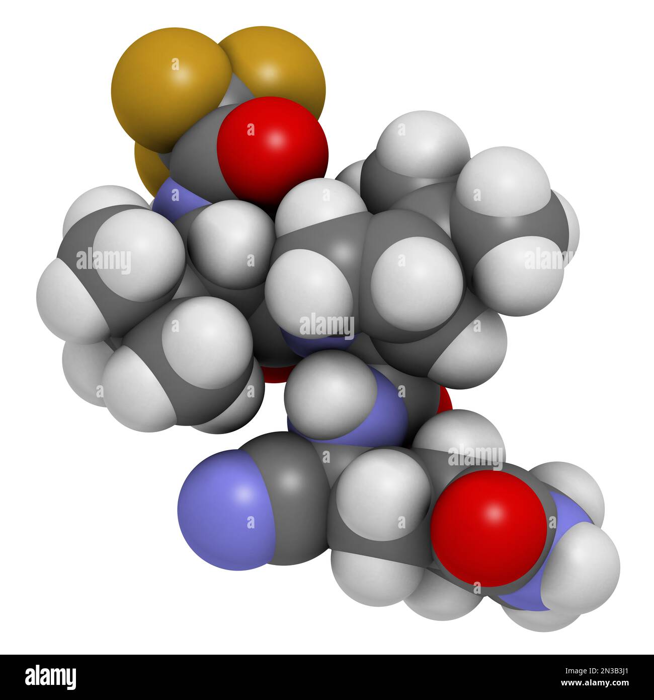 Nirmatrelvir (PF-07321332) antiviral drug molecule. 3D rendering. Atoms ...