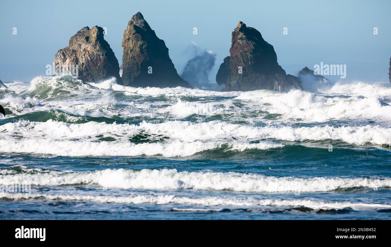 King of beach usa hi-res stock photography and images - Alamy