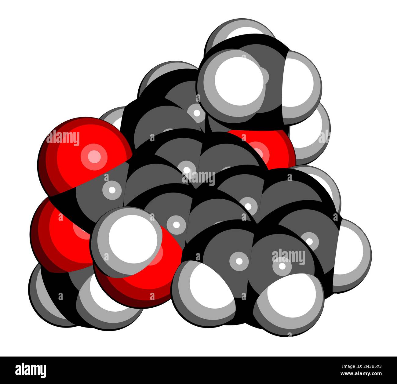 Manjistha Cut Out Stock Images & Pictures - Alamy