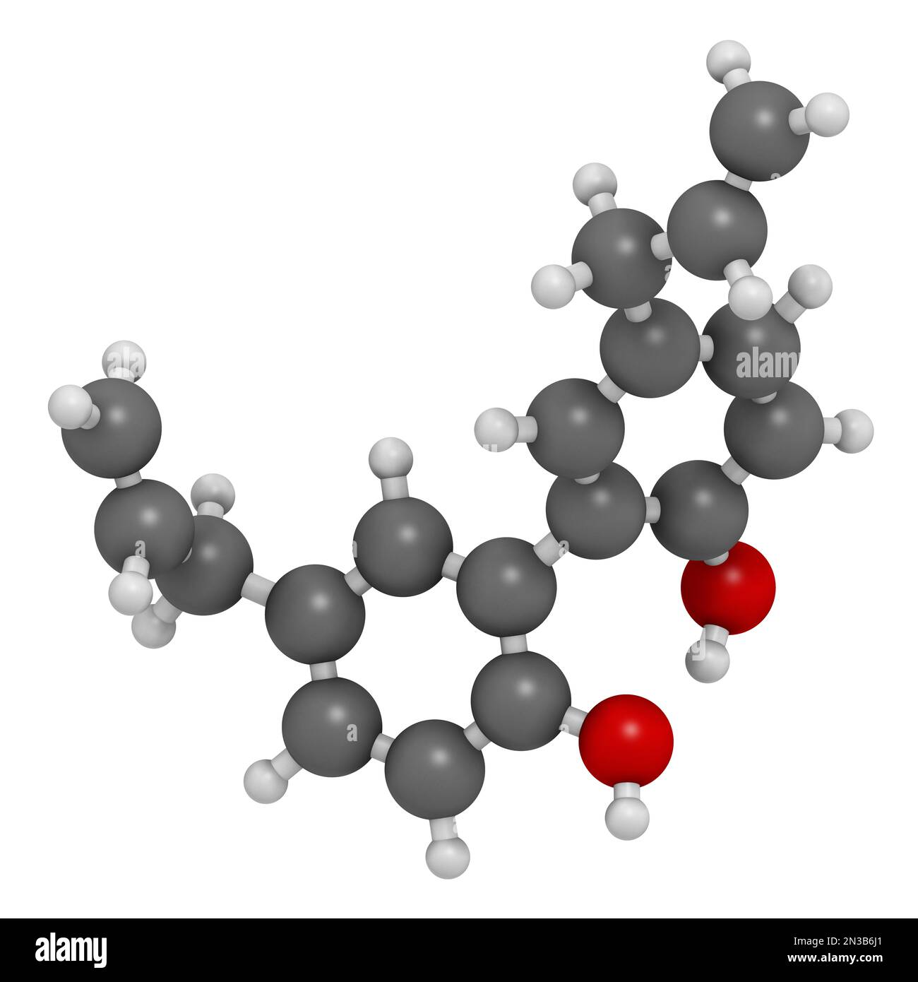 Magnolol herbal molecule, present in magnolia. 3D rendering. Atoms are ...