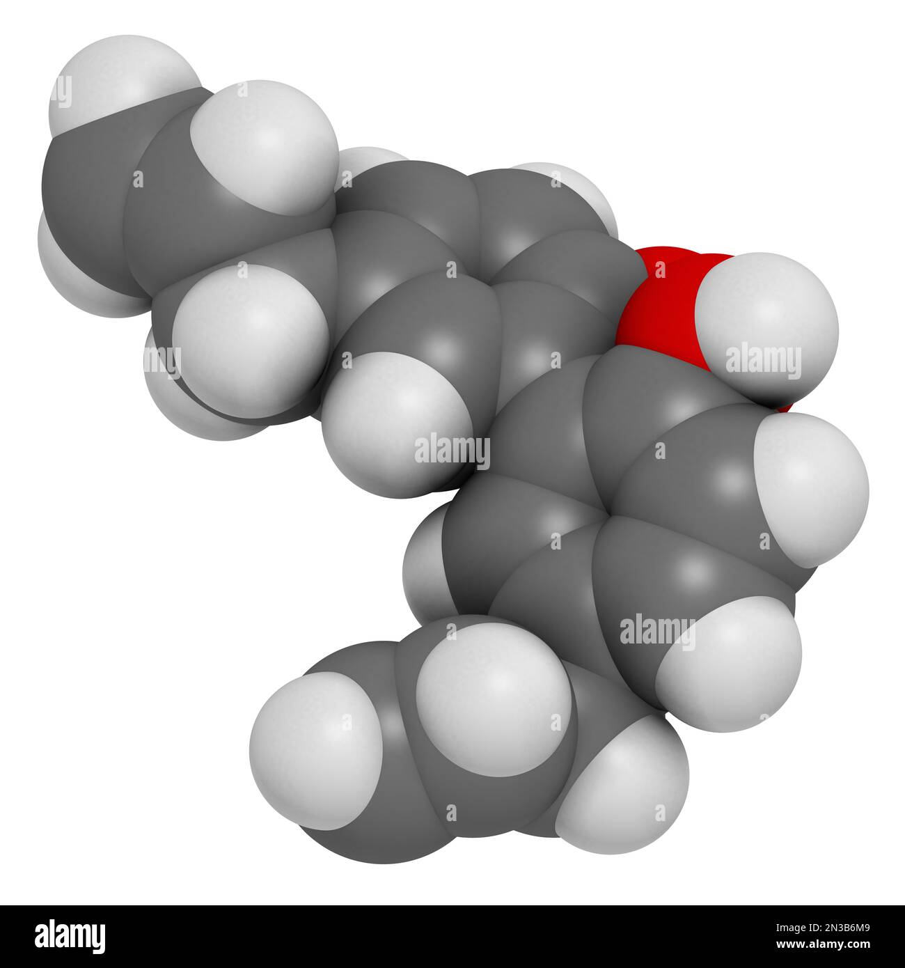 Magnolol herbal molecule, present in magnolia. 3D rendering. Atoms are ...