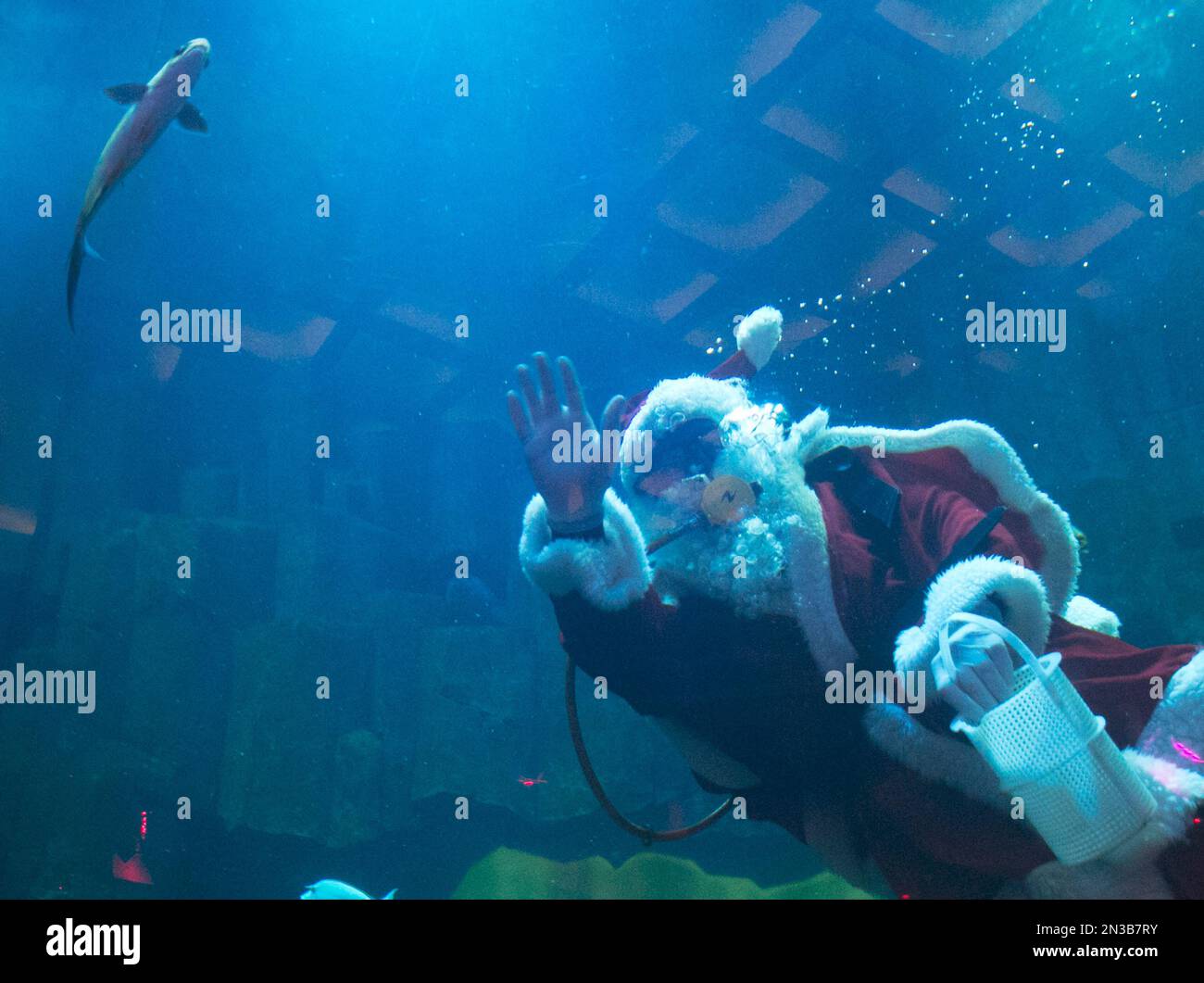 A diver dressed in a Santa Claus costume waves at spectators as he ...