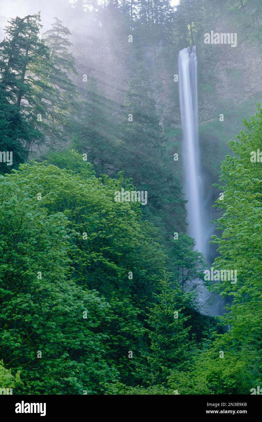 Multnomah Falls, Oregon, USA Stock Photo - Alamy