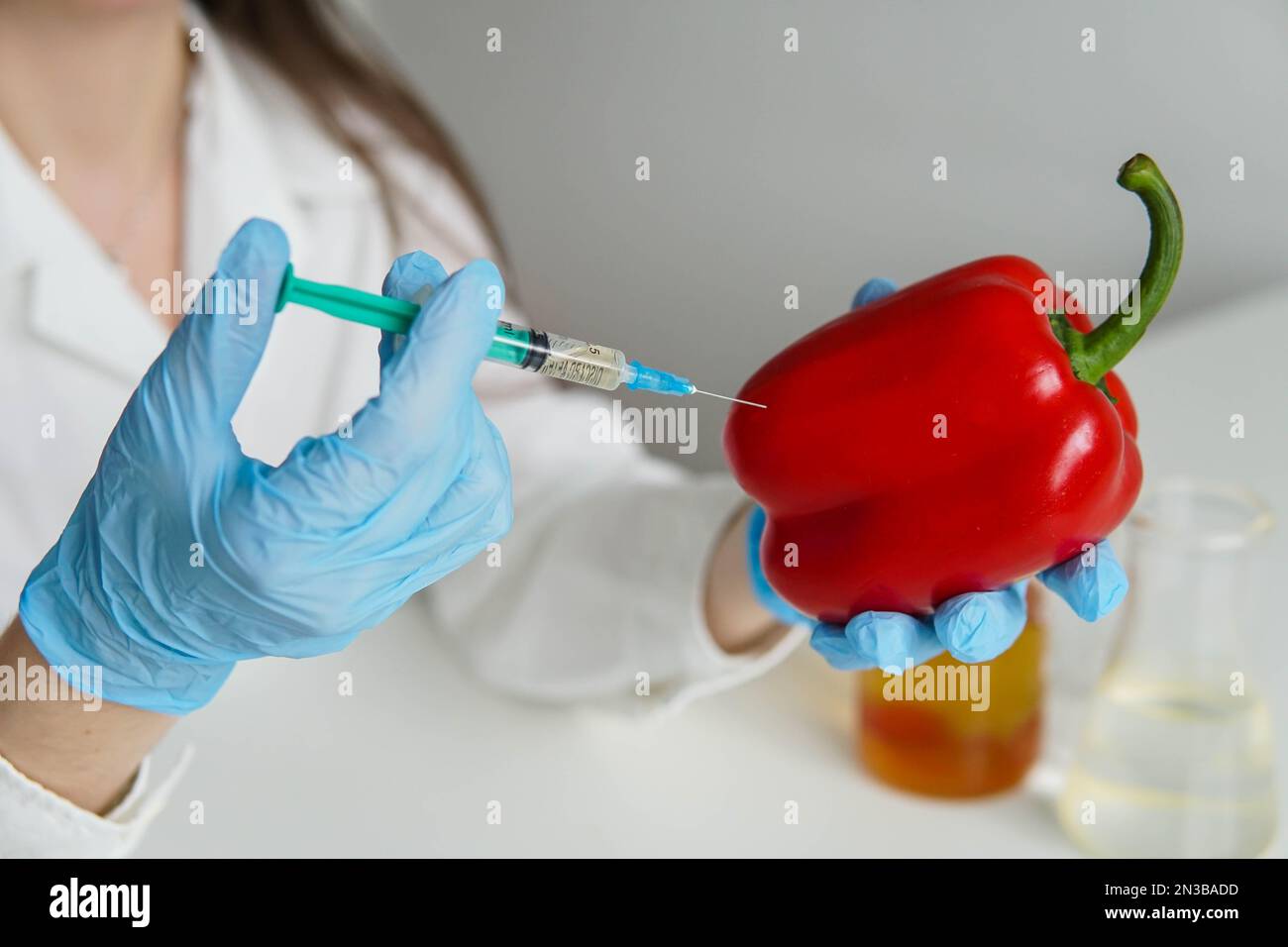 Gloved hands of woman researcher with red ripe pepper making injection ...