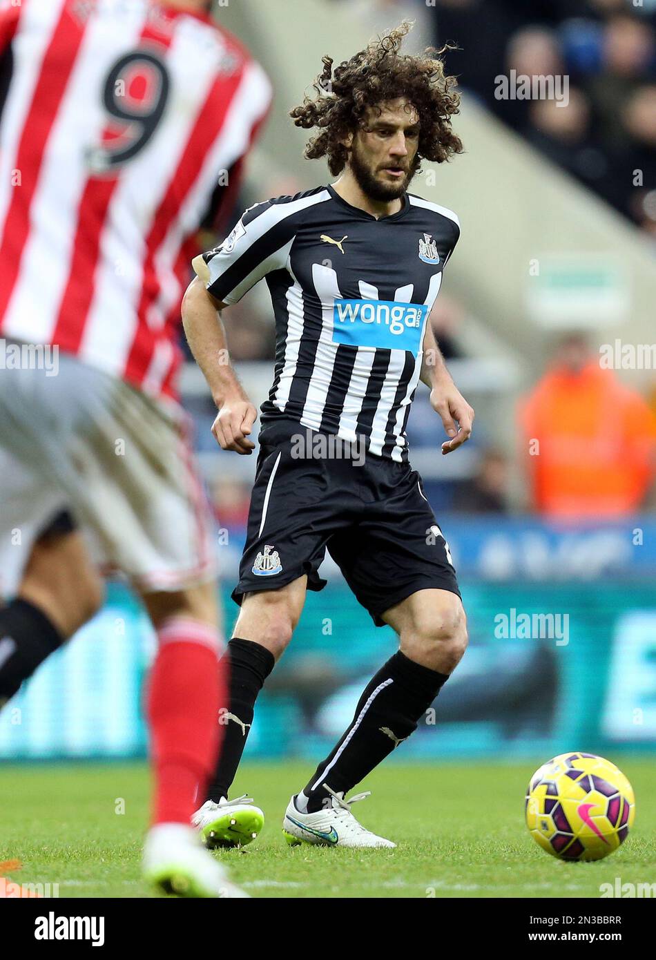 Newcastle United's captain Fabricio Coloccini during their English ...