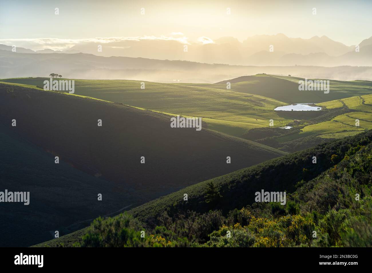 A bird's-eye view of green landscapes in the Overberg region of South ...