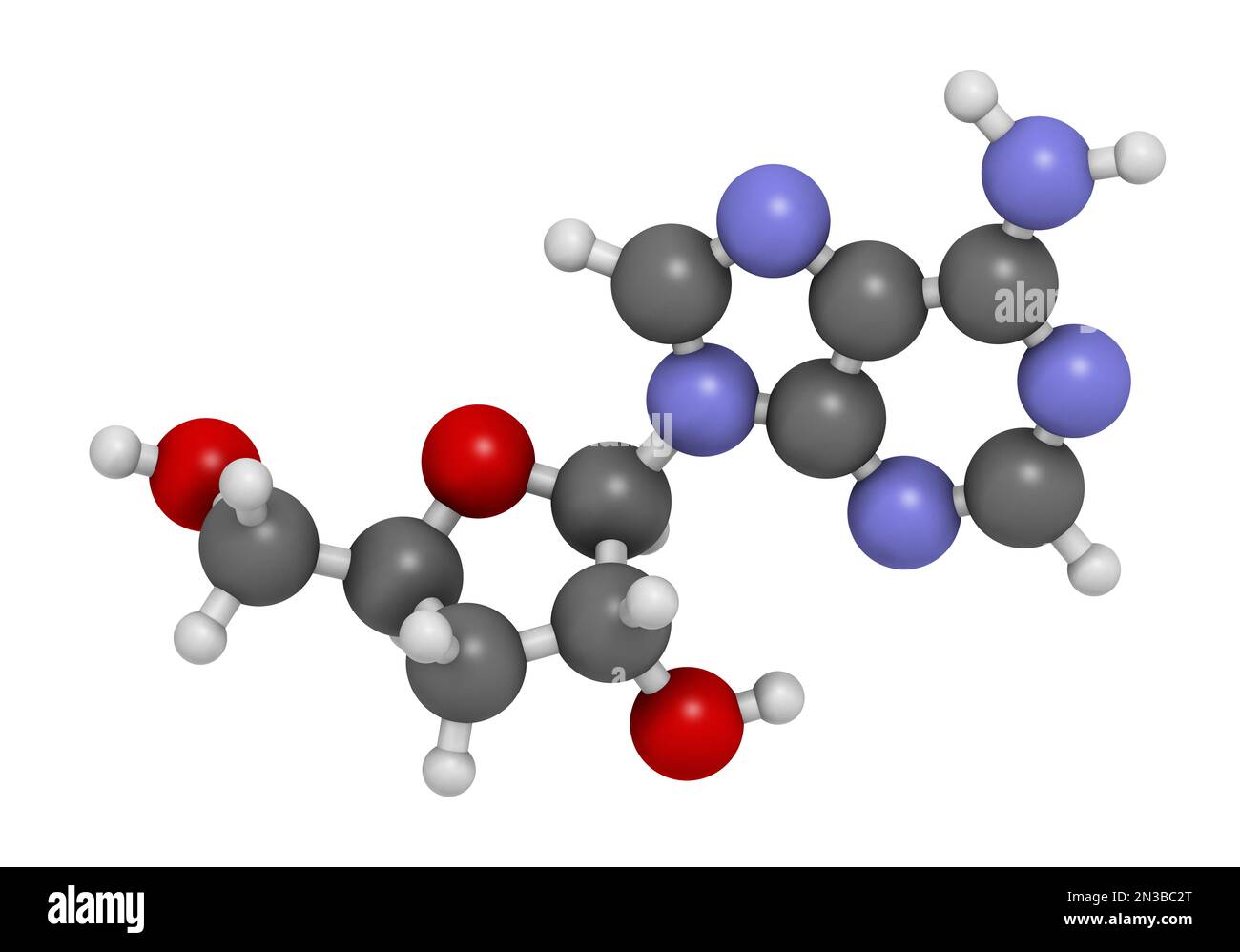 Cordycepin molecule. 3D rendering. Atoms are represented as spheres with conventional color ...