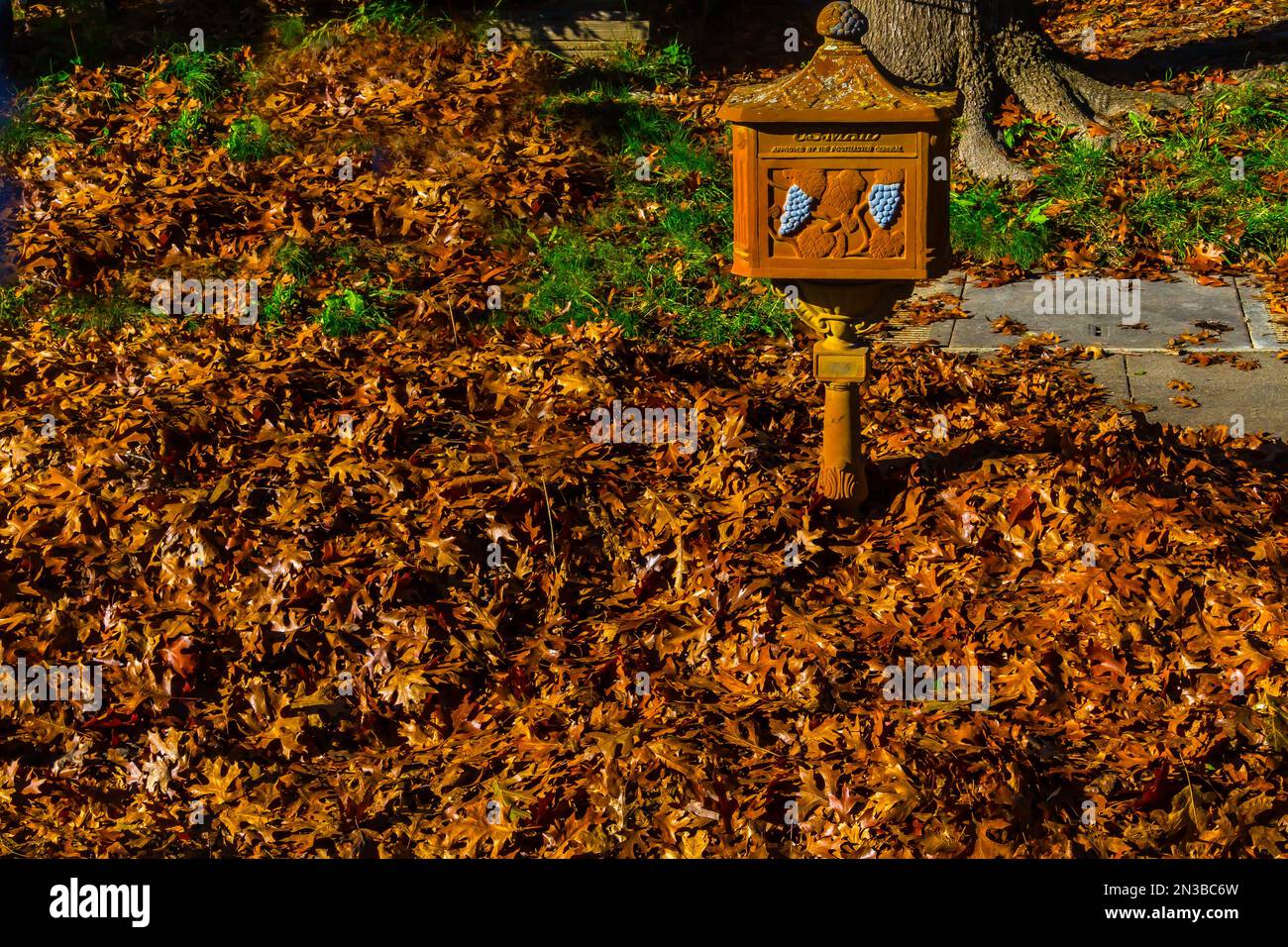 Autumn Leaves And Old Mailbox Stock Photo - Alamy