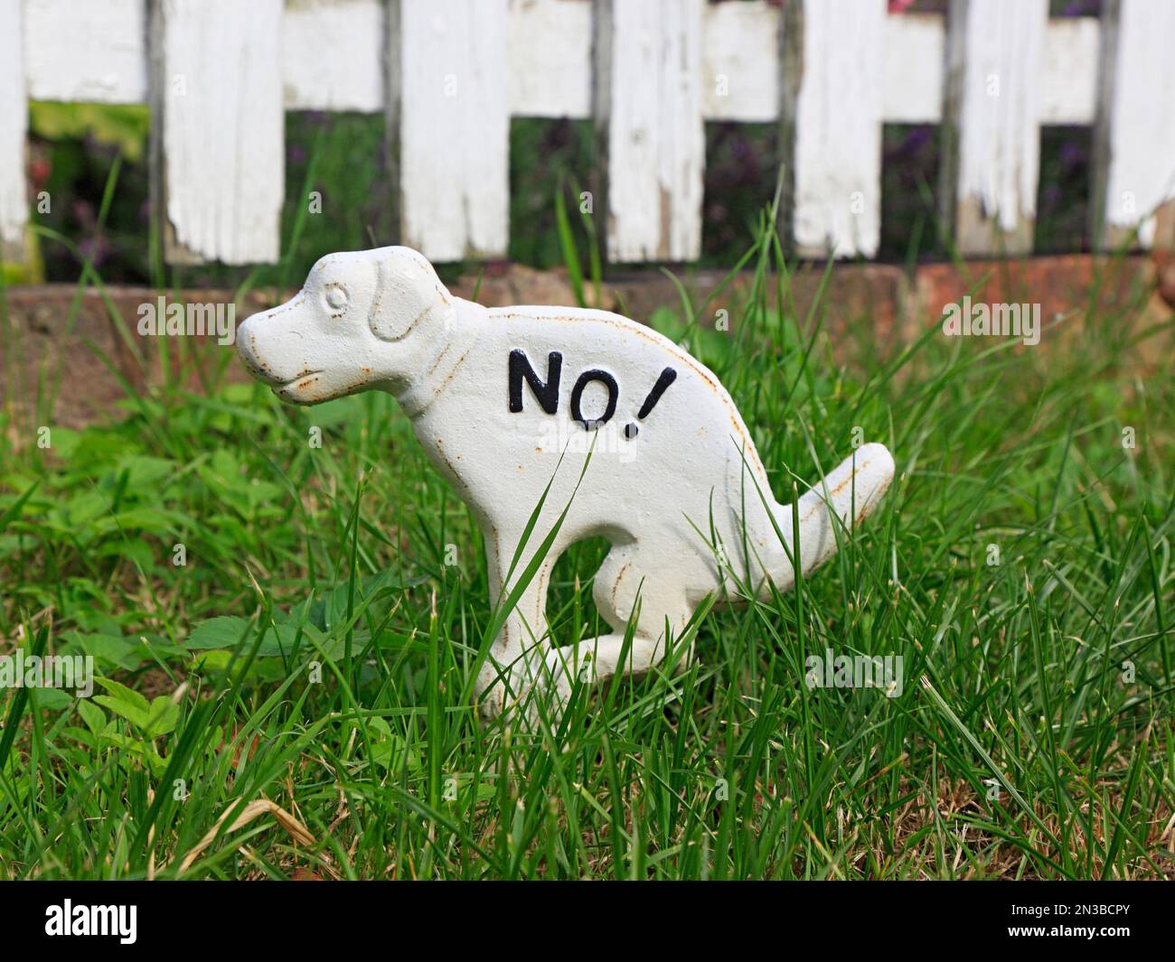 A dog-shaped no dog sign in a garden Stock Photo - Alamy