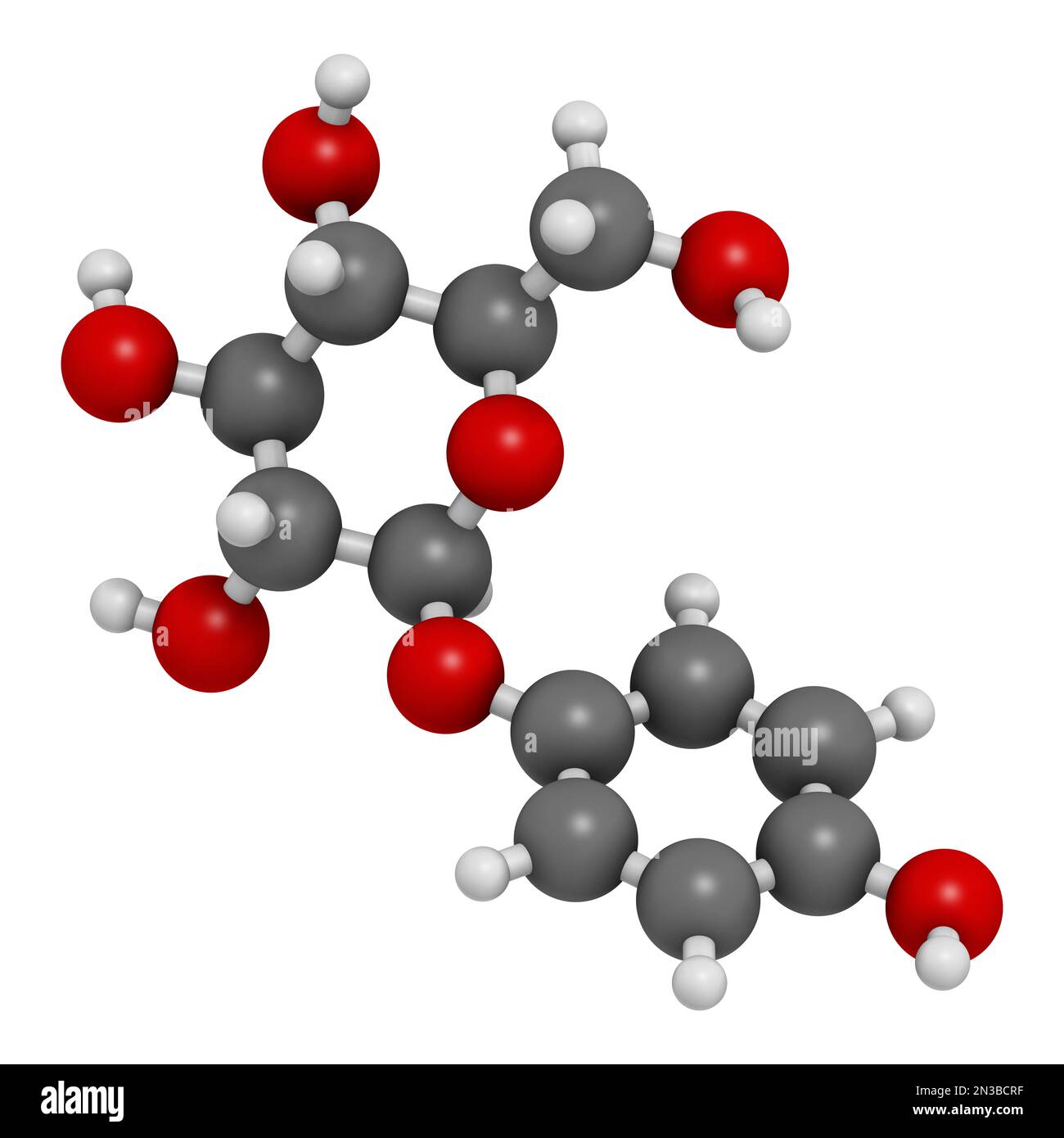 beta-arbutin molecule. 3D rendering. Atoms are represented as spheres ...
