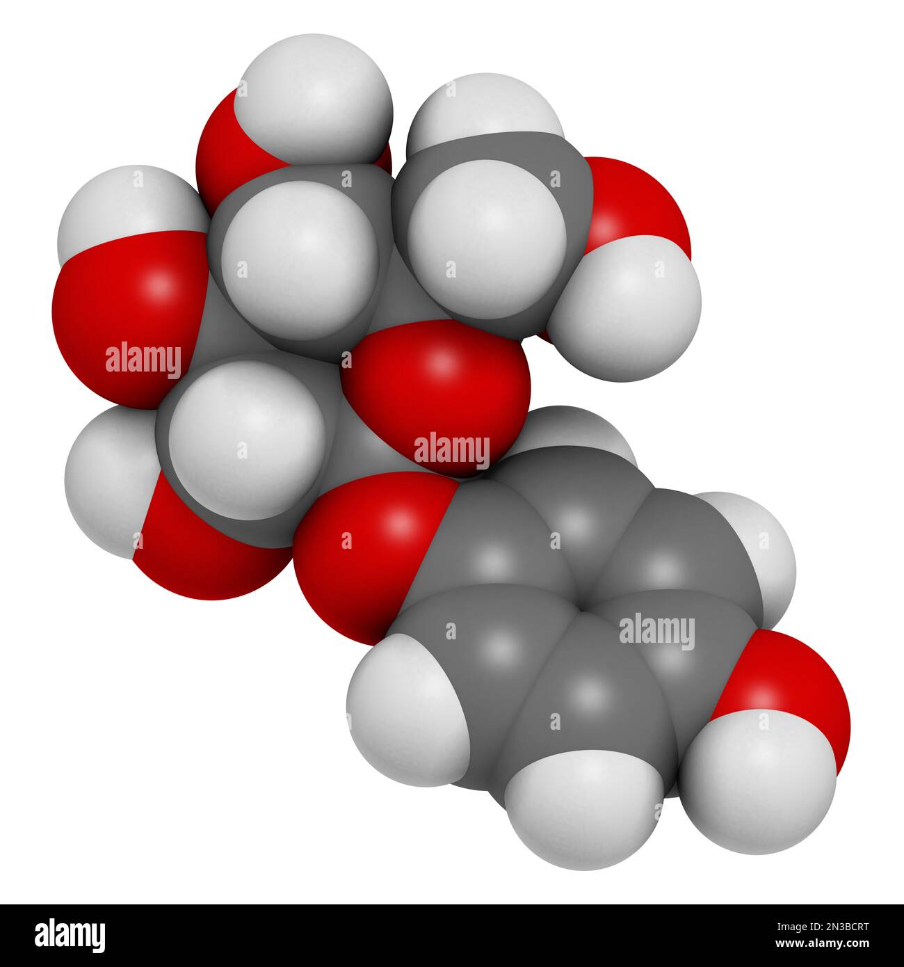 beta-arbutin molecule. 3D rendering. Atoms are represented as spheres ...