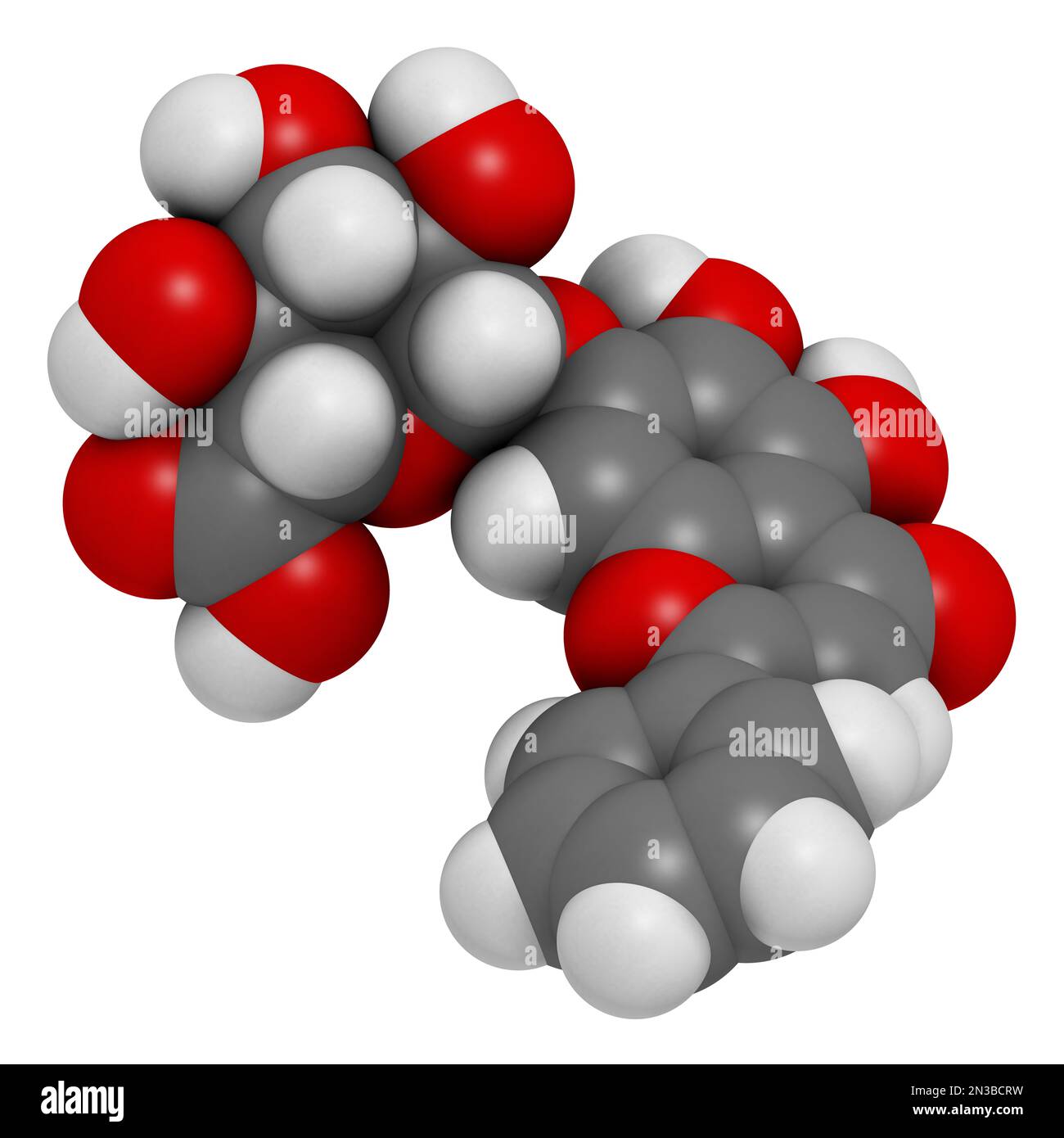 Baicalin flavonoid molecule. 3D rendering. Atoms are represented as ...