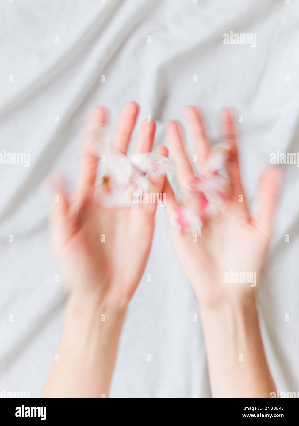 Top view on woman's hands with pink flower petals over crumpled white ...