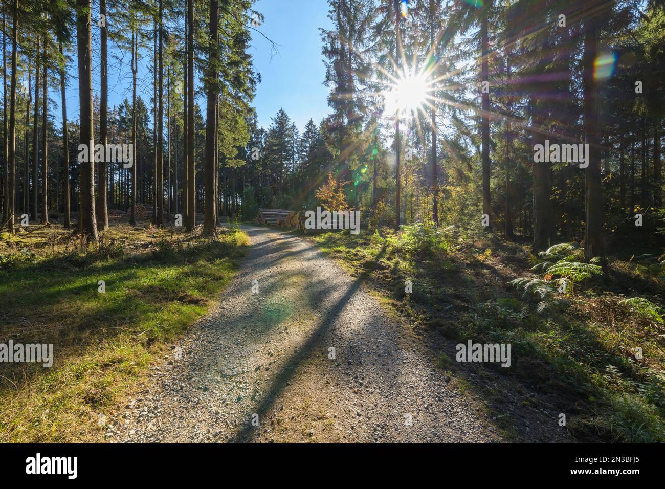 Radius images hi-res stock photography and images - Alamy