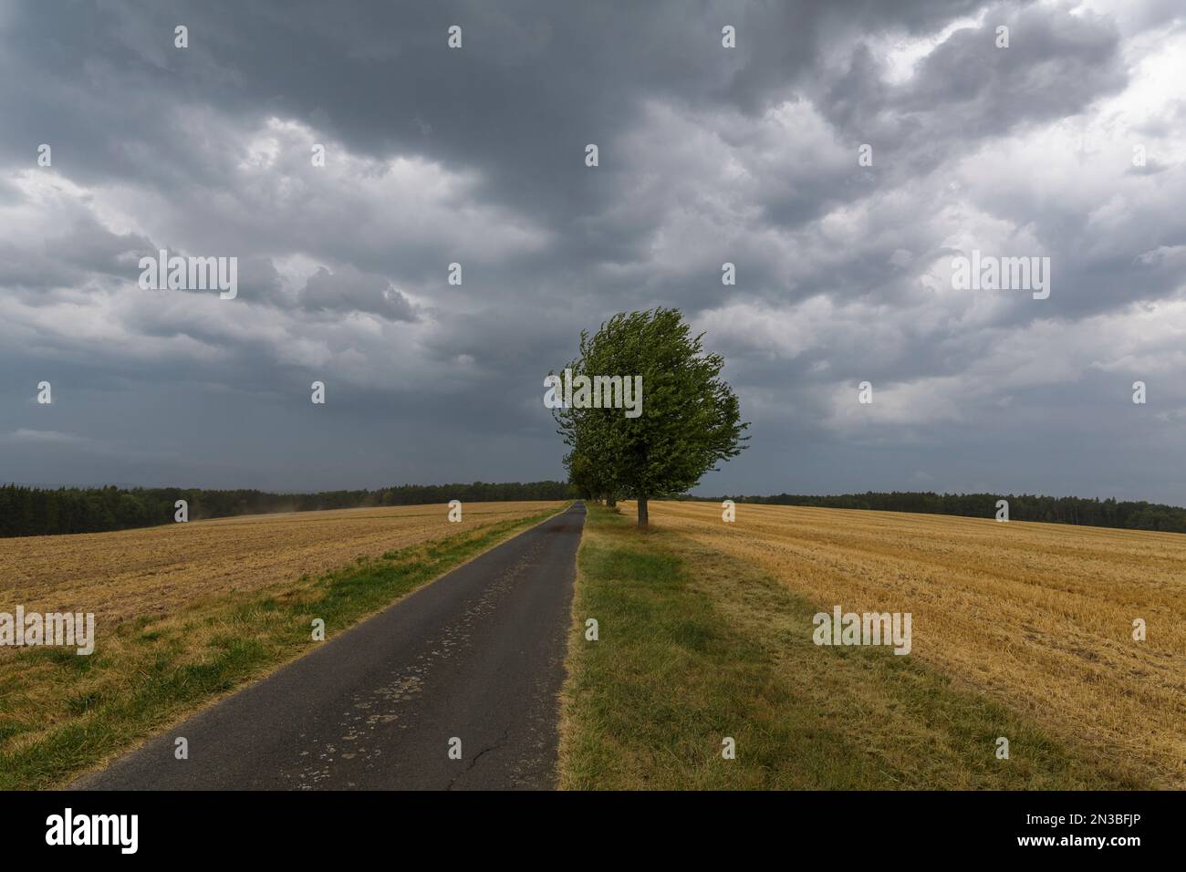 Field landscape with road and approaching thunderstorm in summer ...
