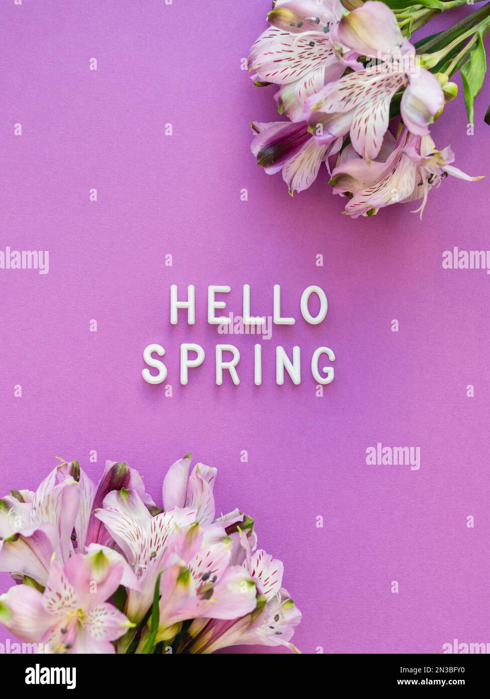 Text HELLO SPRING on bright purple background with border of fresh ...