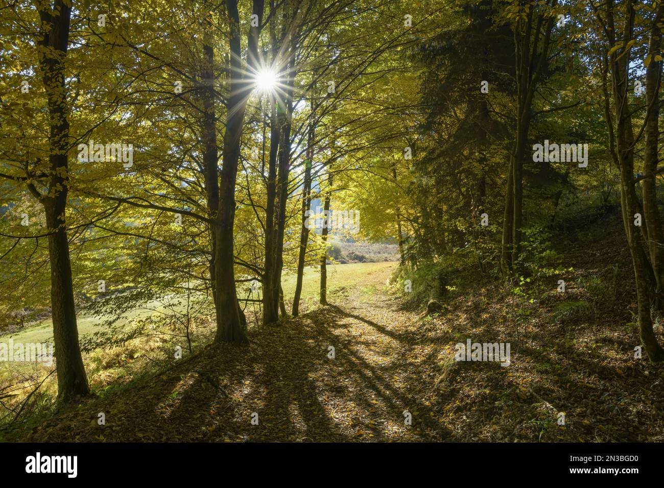 Radius images hi-res stock photography and images - Alamy