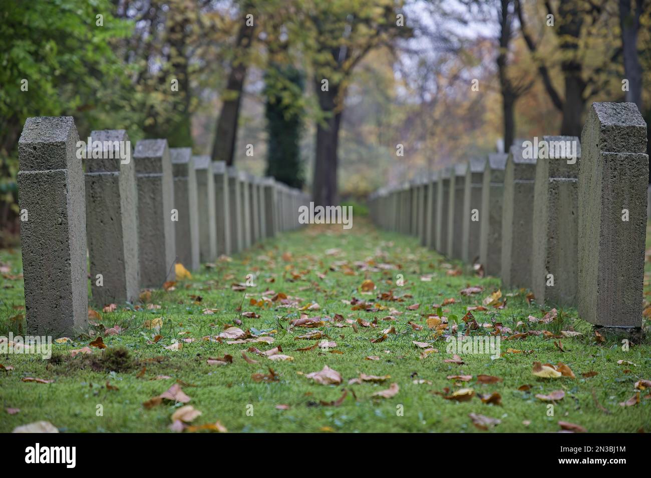 The gravestones of fallen soldiers of WW2 in a memorial Stock Photo - Alamy