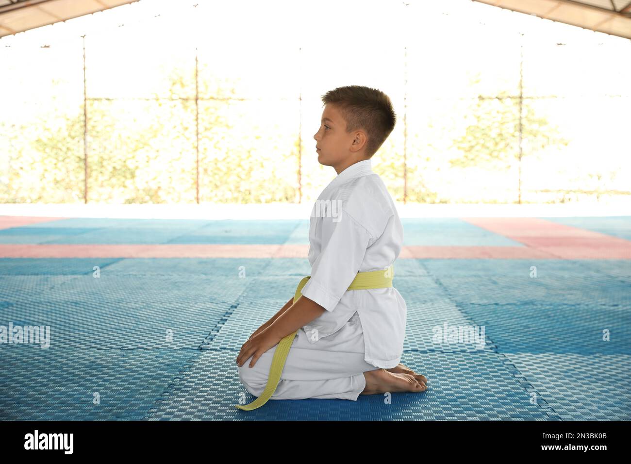 Boy in kimono sitting on tatami outdoors. Karate practice Stock Photo ...