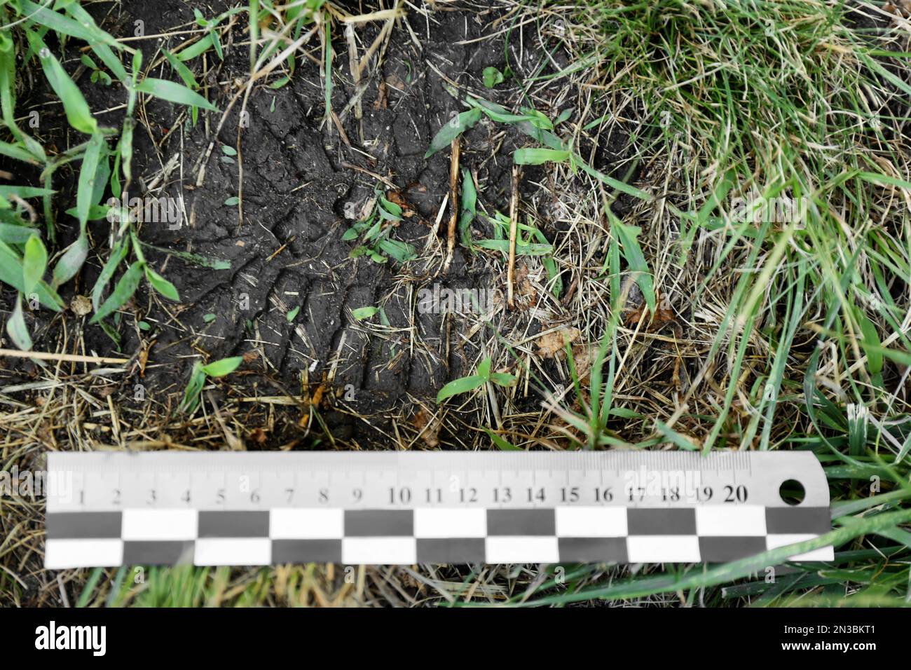 Ruler near footprint on mud, top view. Crime scene investigation and ...