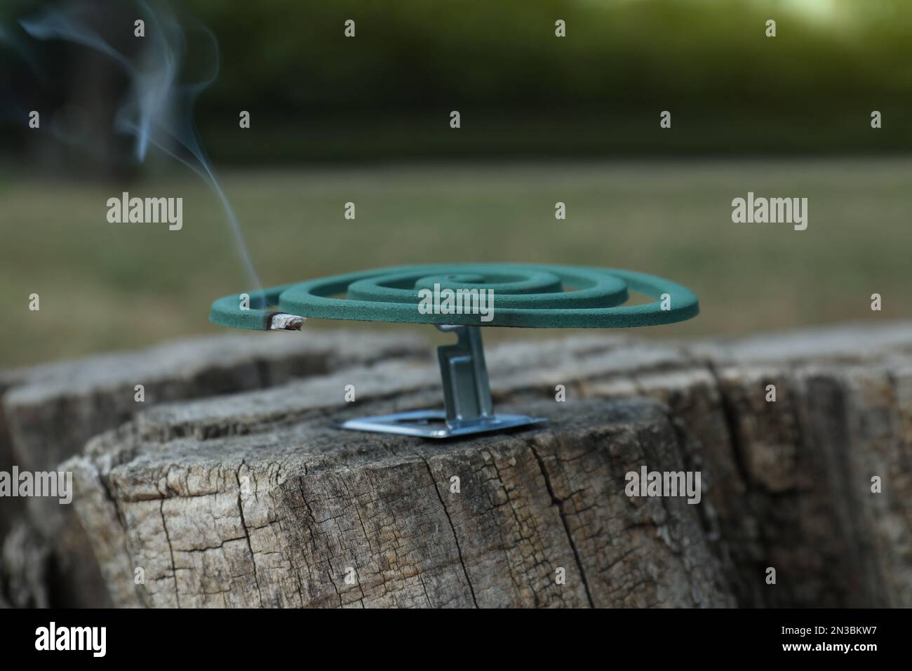 Smouldering insect repellent coil on tree stump outdoors Stock Photo ...