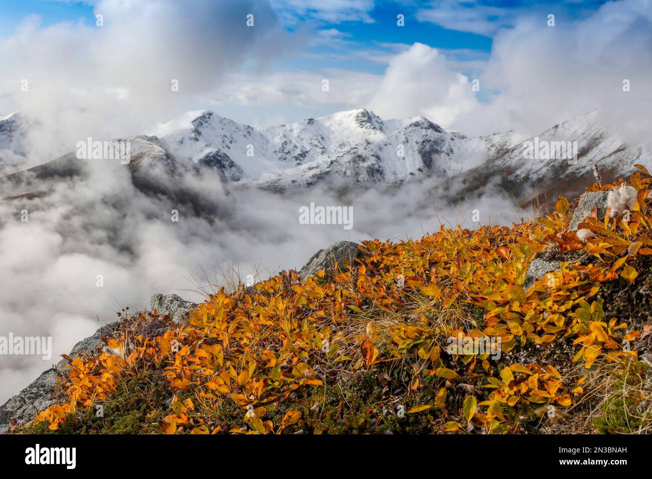 Bright fall colors on the tundra in the foreground, with clouds in the ...