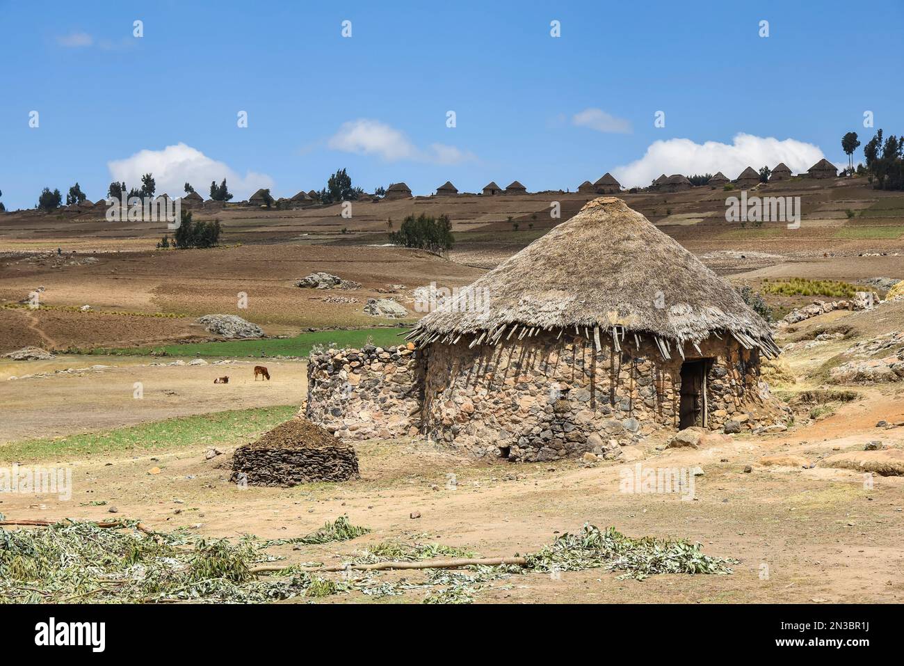 African round hut, traditional dwelling in the rural countryside ...