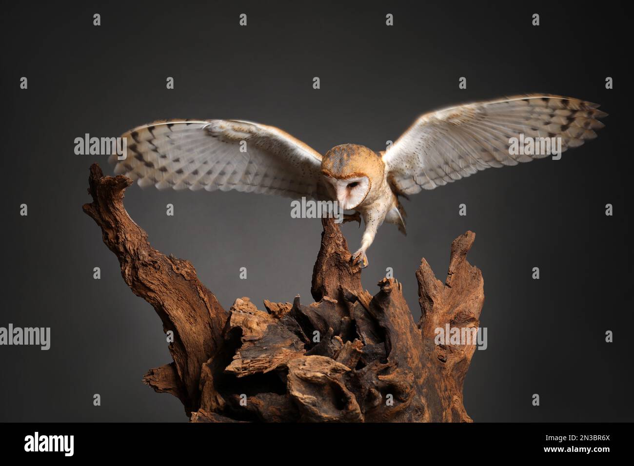 Classic barn background hi-res stock photography and images - Alamy