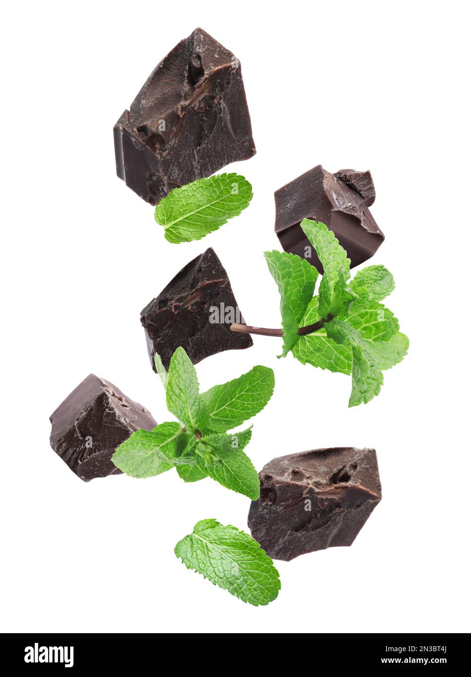 Black chocolate pieces and mint falling on white background Stock Photo ...