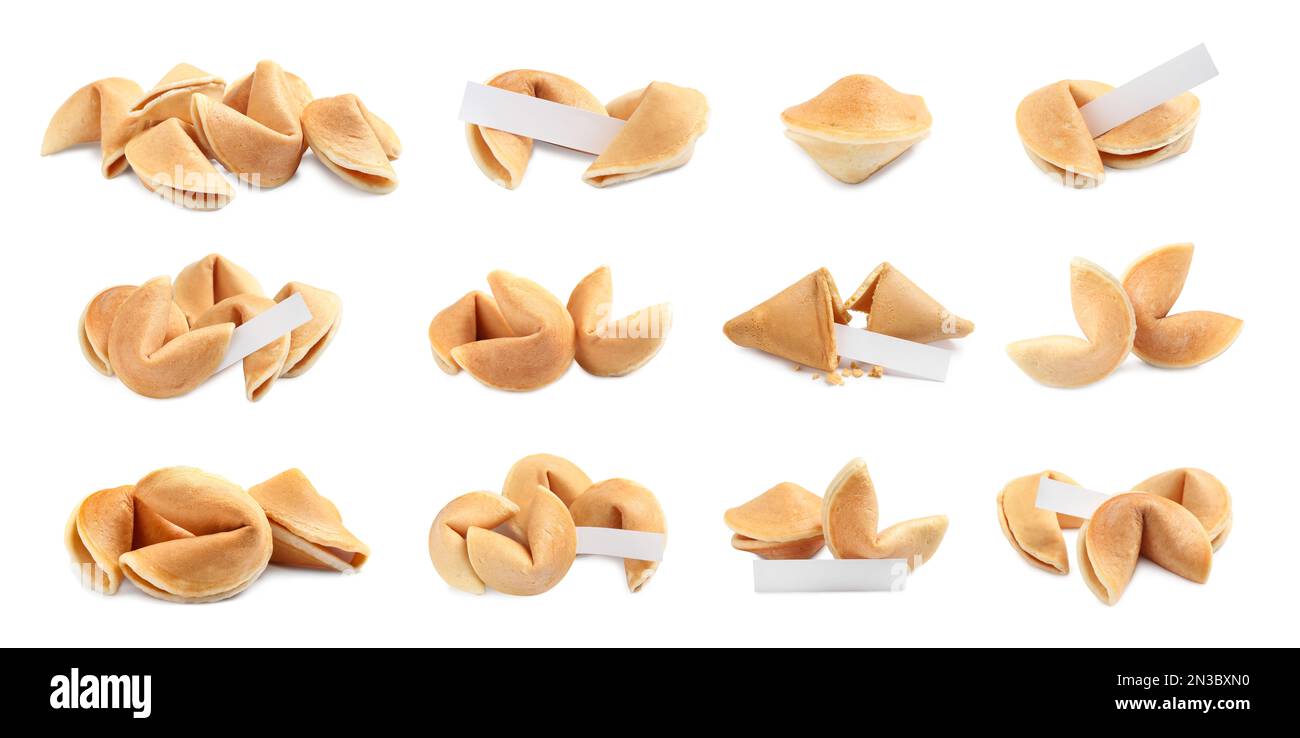 Set of fortune cookies on white background. Banner design Stock Photo ...