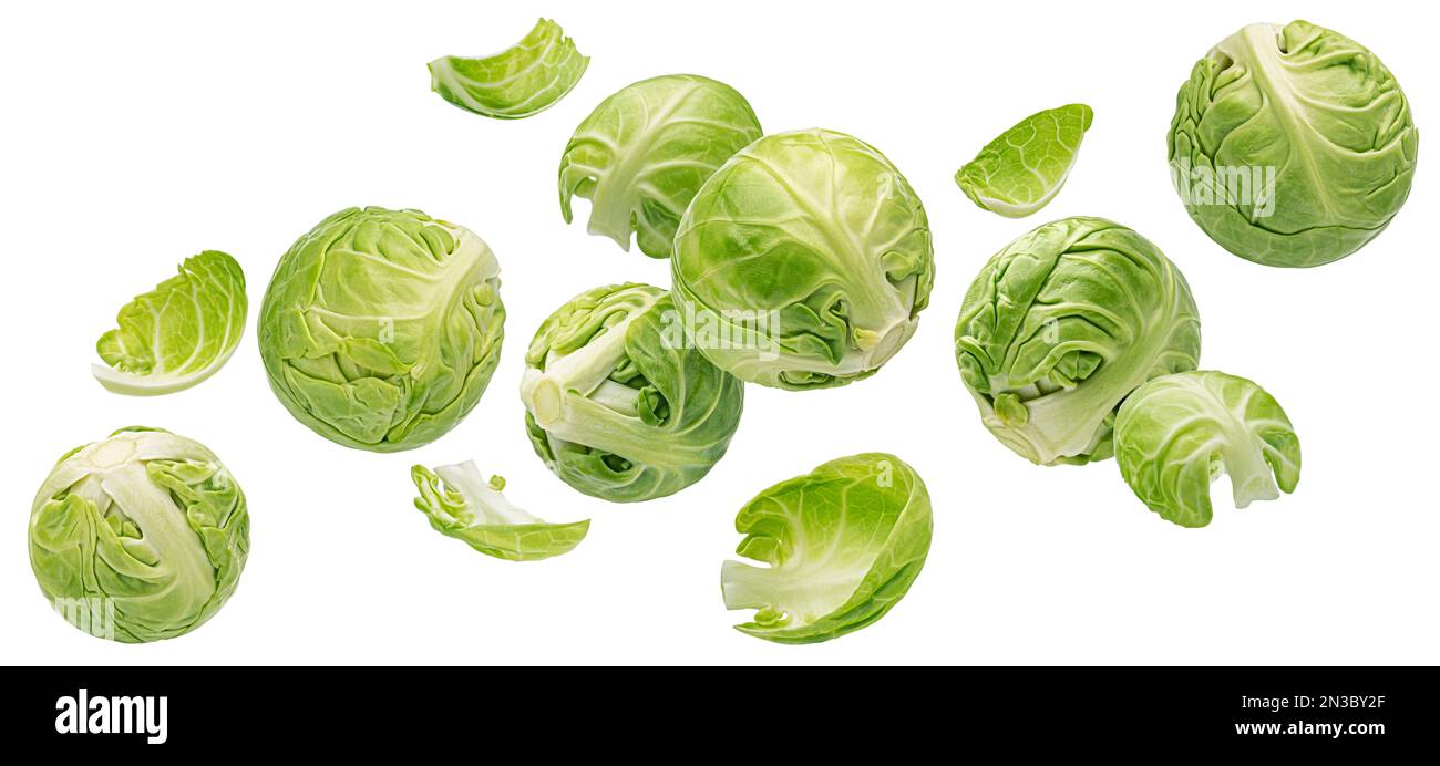 Falling brussels sprouts isolated on white background Stock Photo - Alamy