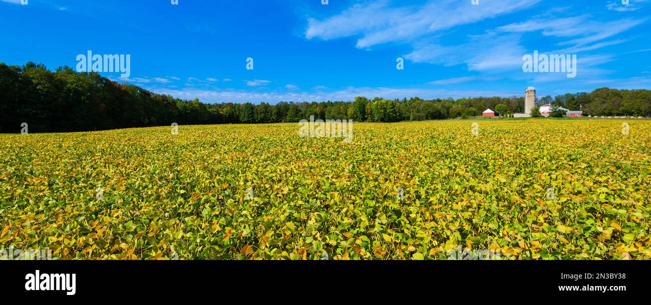 Farm and field in the Eastern Townships; Quebec, Canada Stock Photo - Alamy