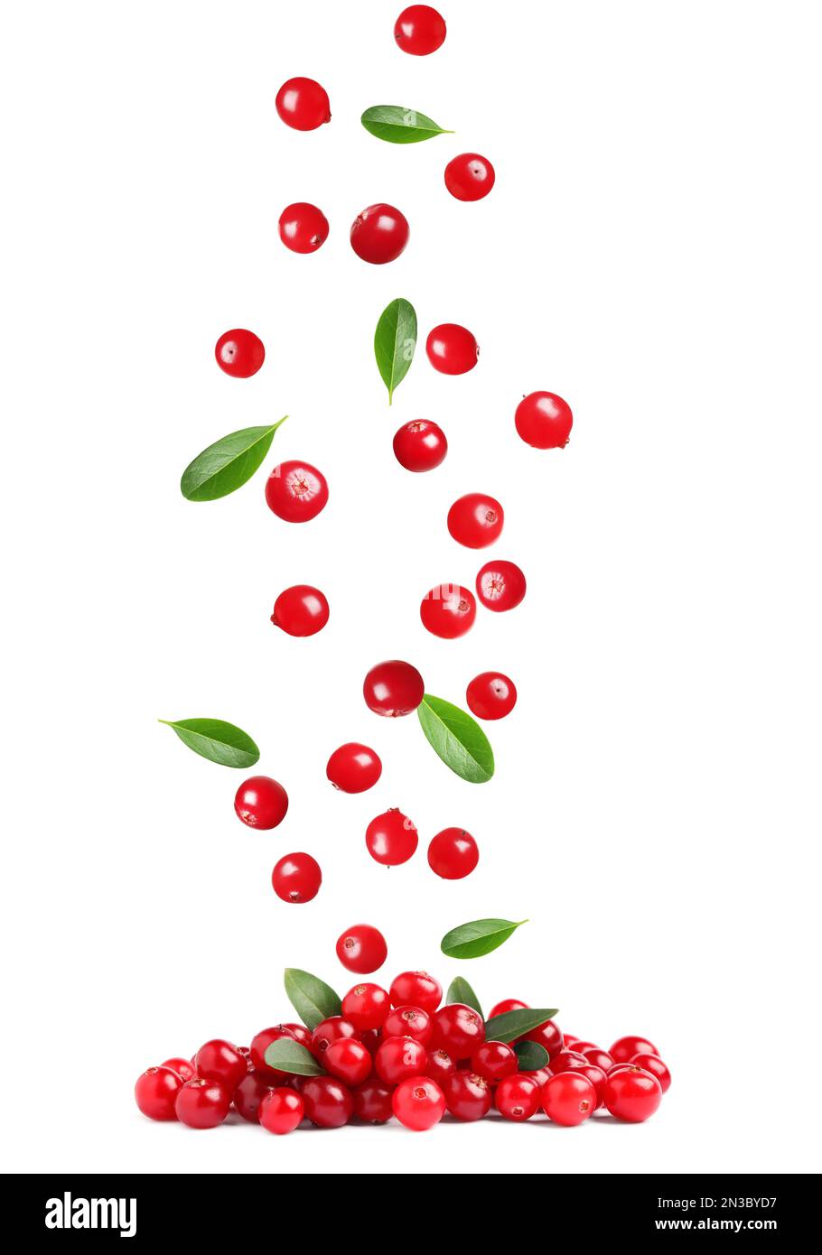 Fresh red cranberries falling in pile on white background Stock Photo ...