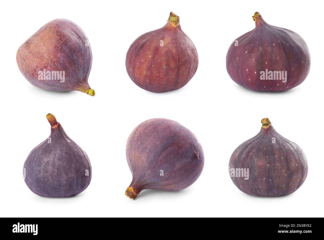 Health and nature collage hi-res stock photography and images - Alamy