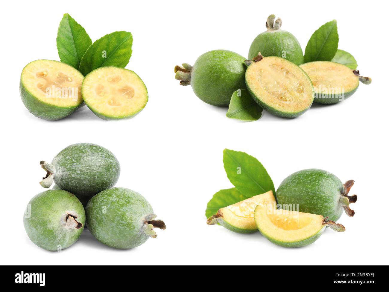 Set of fresh ripe feijoas on white background Stock Photo - Alamy