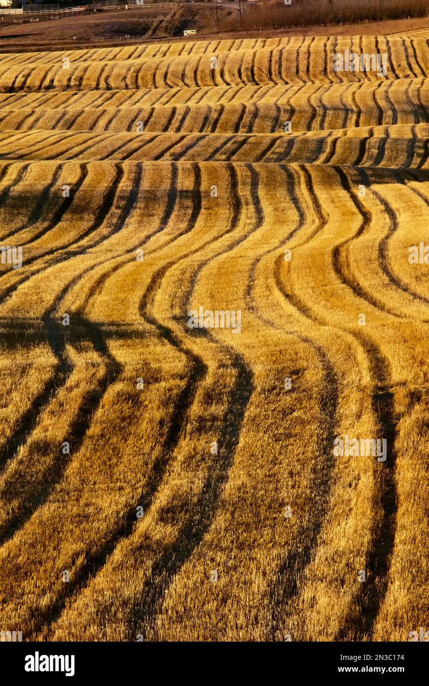 Field pattern hi-res stock photography and images - Alamy