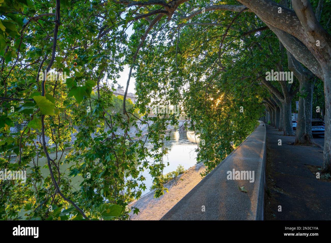 Tree branches arching over the stone wall and walkway along the banks ...