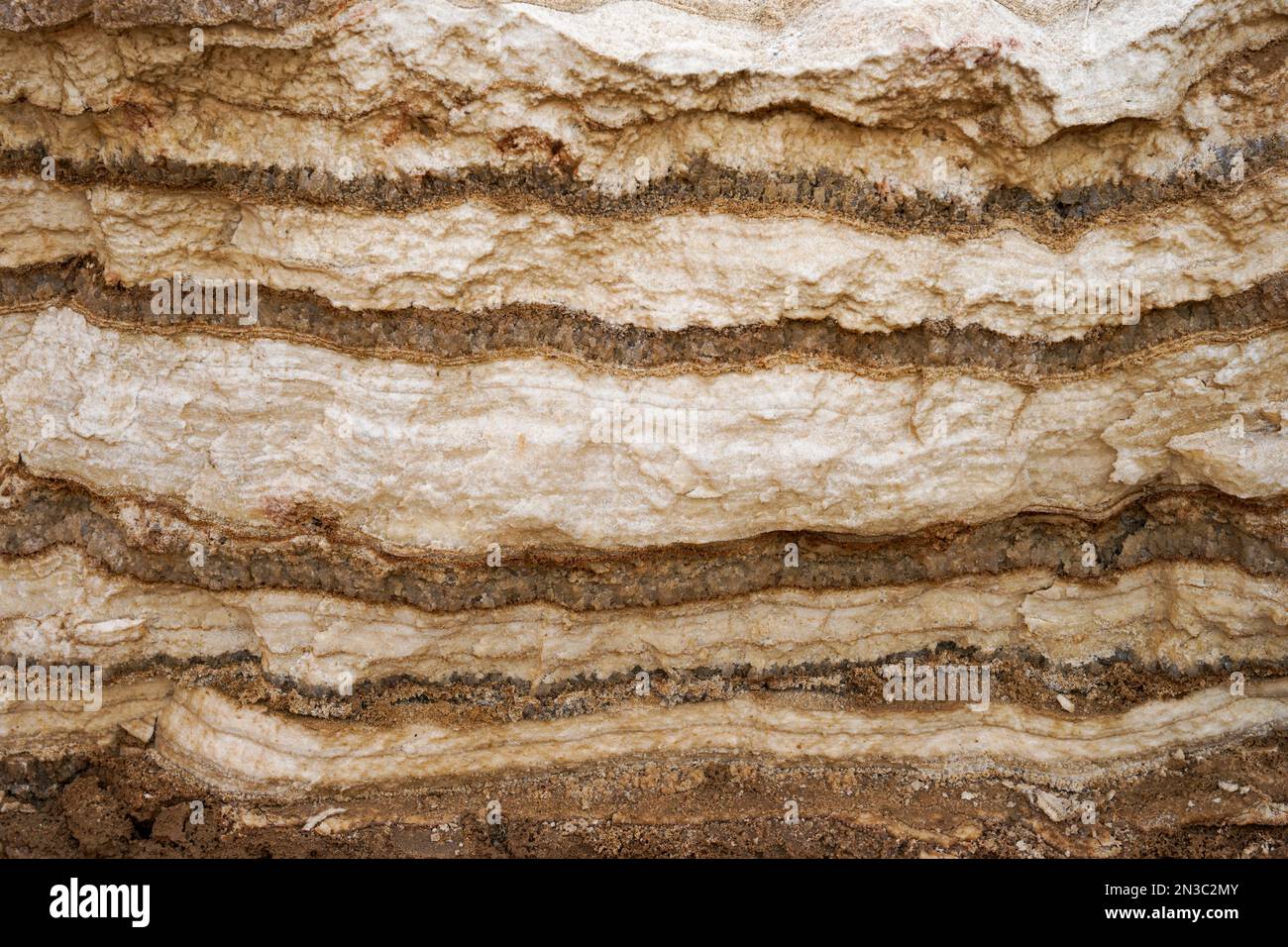 Layers of salt from Dead Sea on shore, Jordan and Israel Stock Photo ...