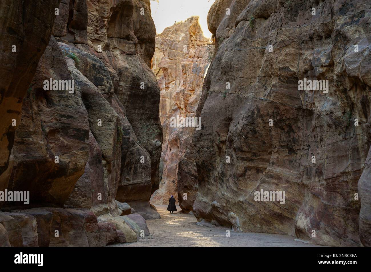 Petra Al siq canyon, entrance to Petra famous Nabatean city, Jordan ...