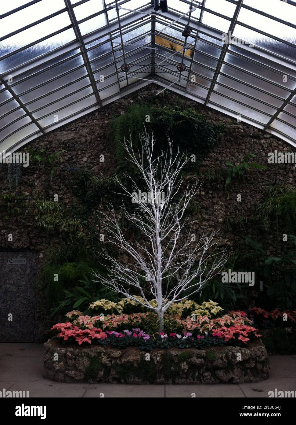 This Dec. 3, 2014 photo shows plants at the Anna Scripps Whitcomb ...