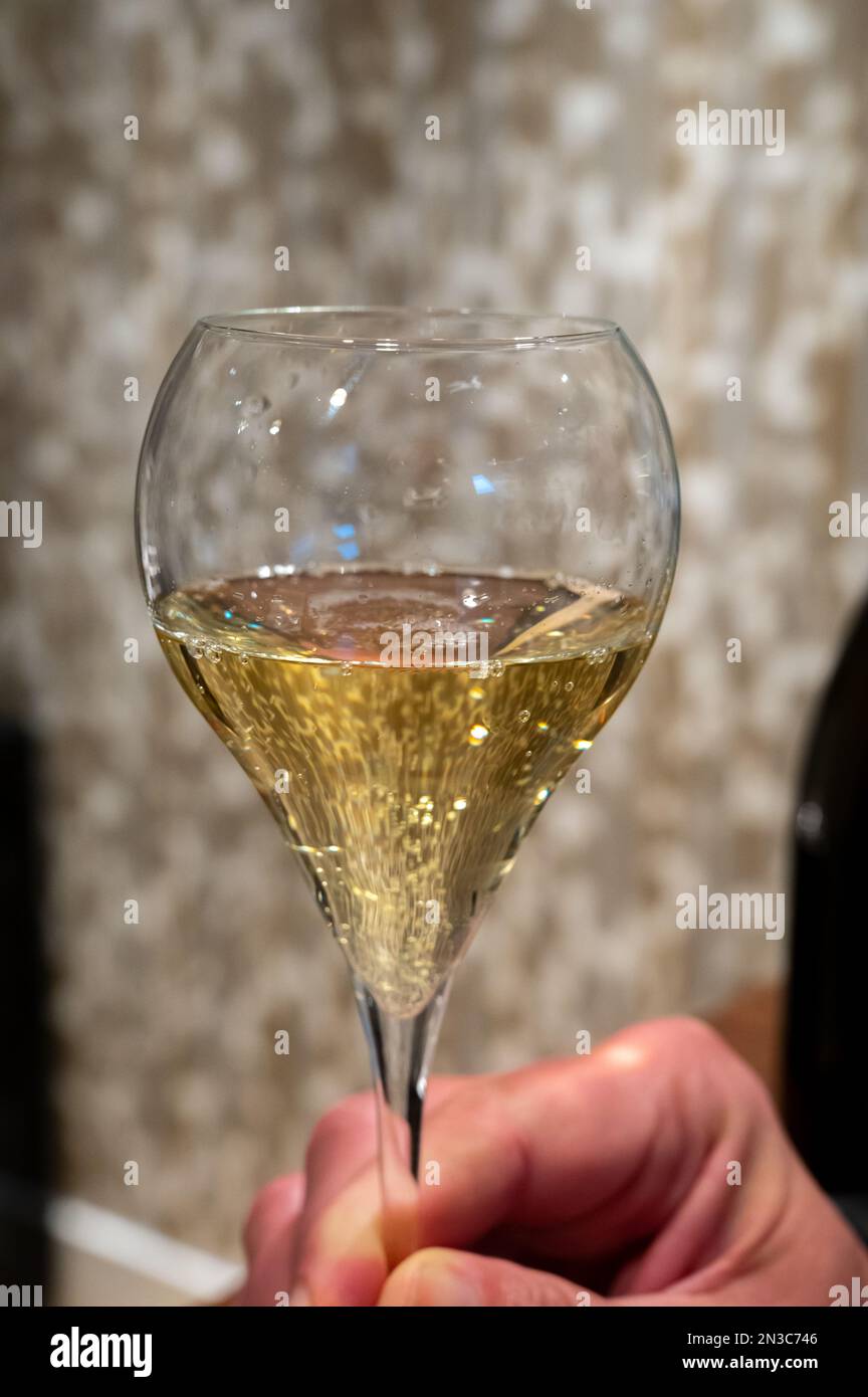 Tasting glass with cold brut Champagne sparkling wine in cellars of ...